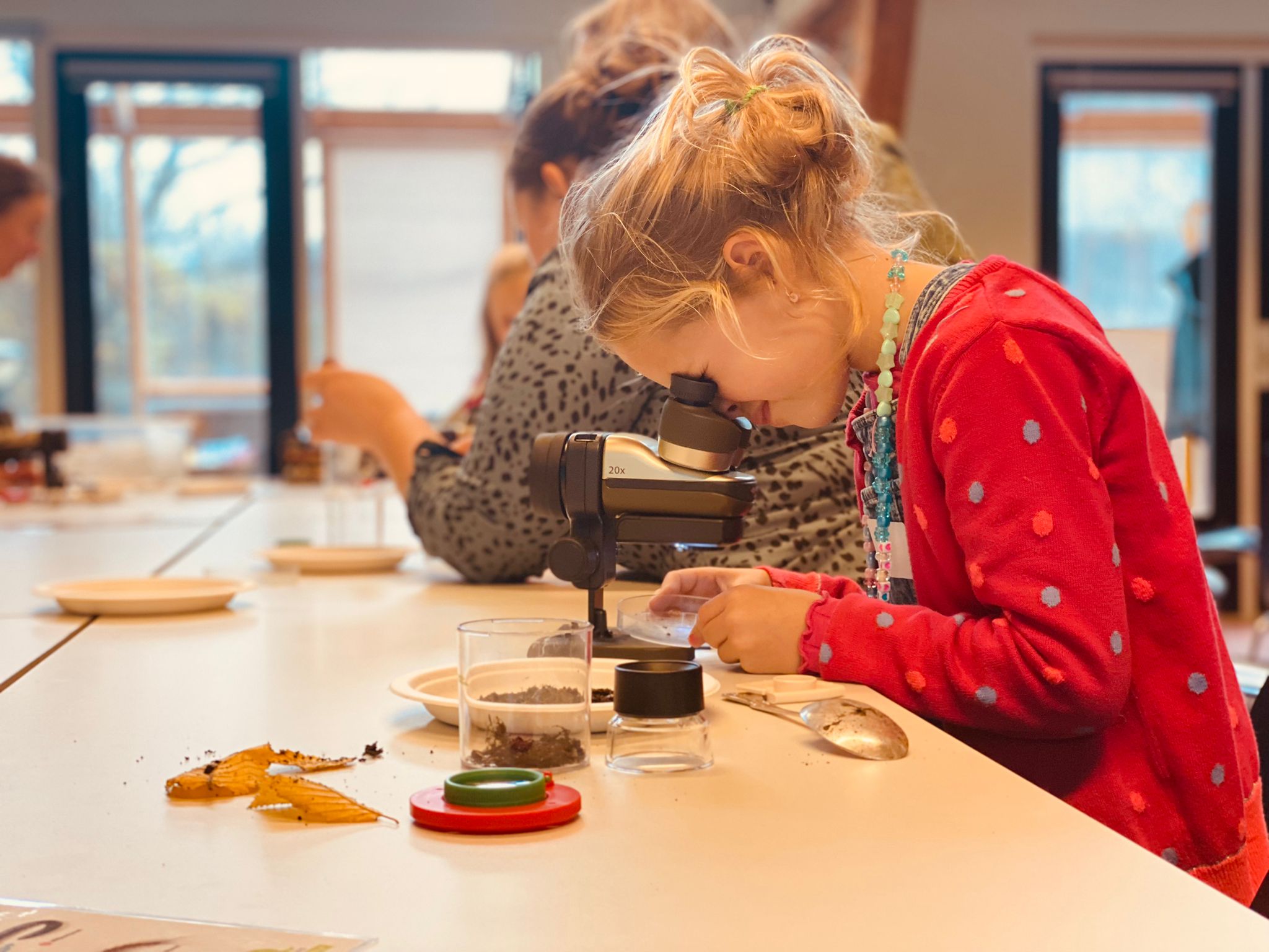 Papaver Natuurlab Kriebeldiertjes 20 augustus 2025 – De Papaver Duurzaamheidscentrum Delft